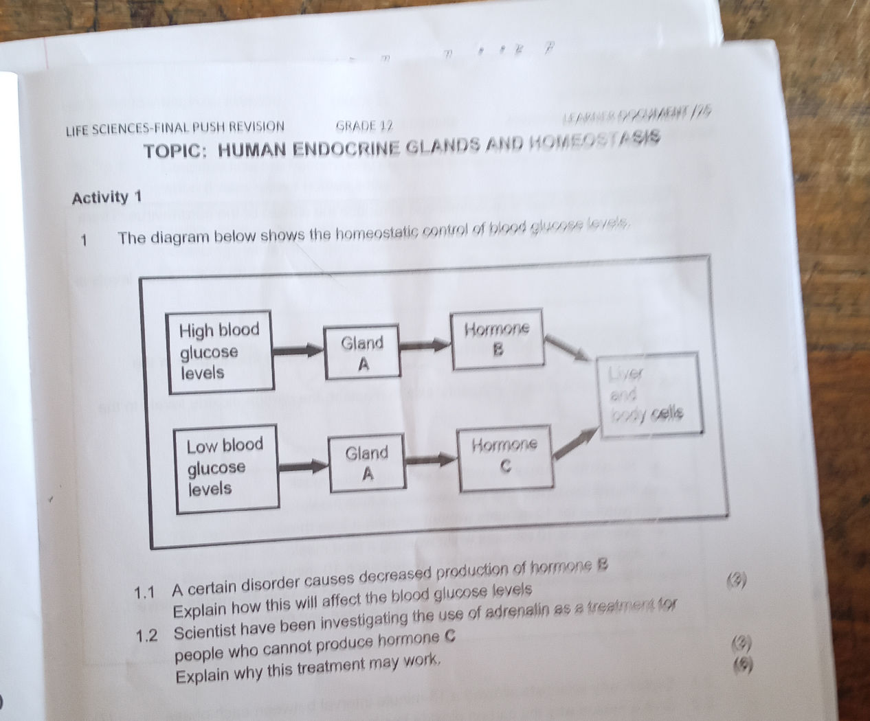 The diagram below shows the homeostatic | StudyX