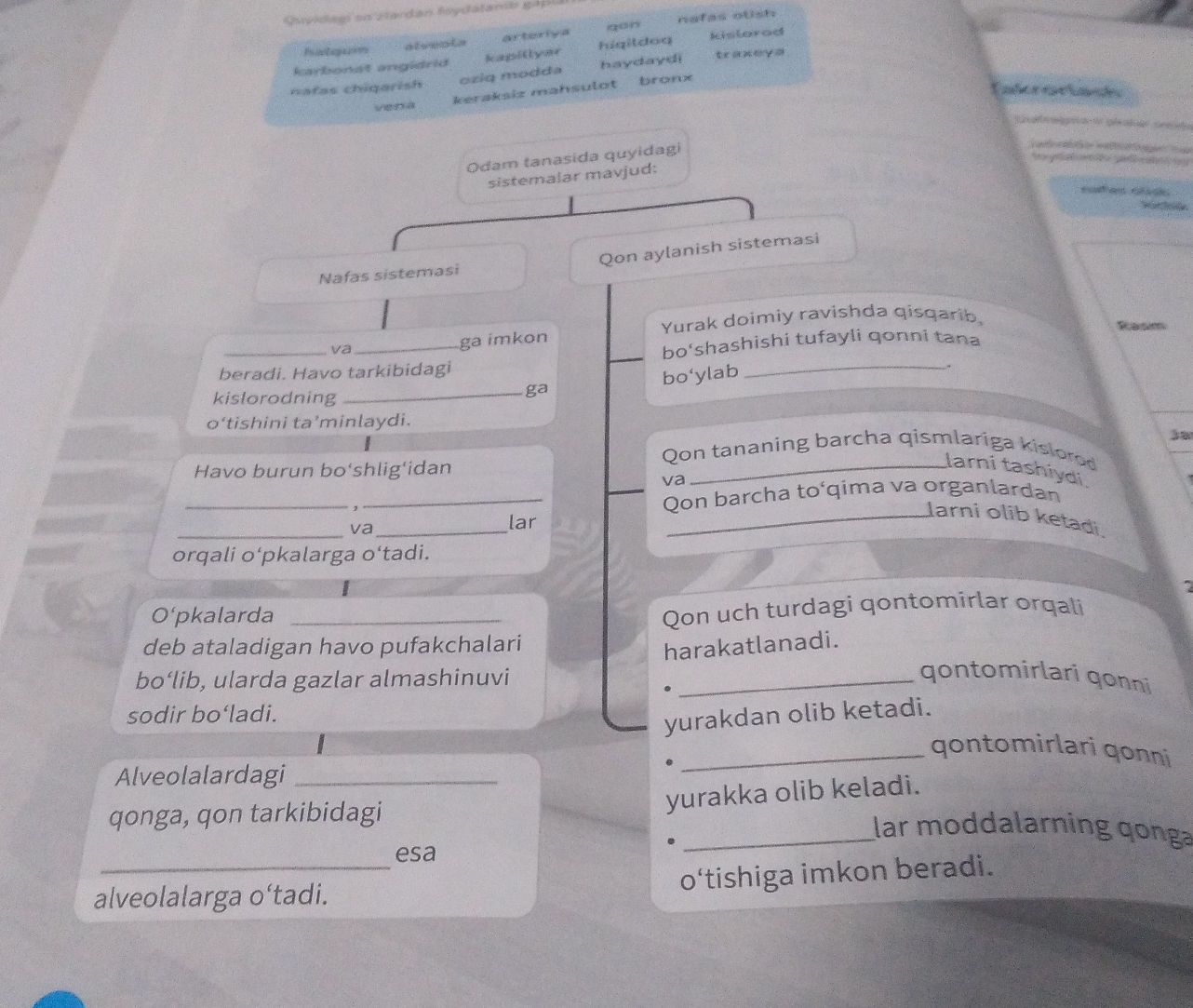 Qiyidagi so'zlardan foydalanib gaplarni | StudyX