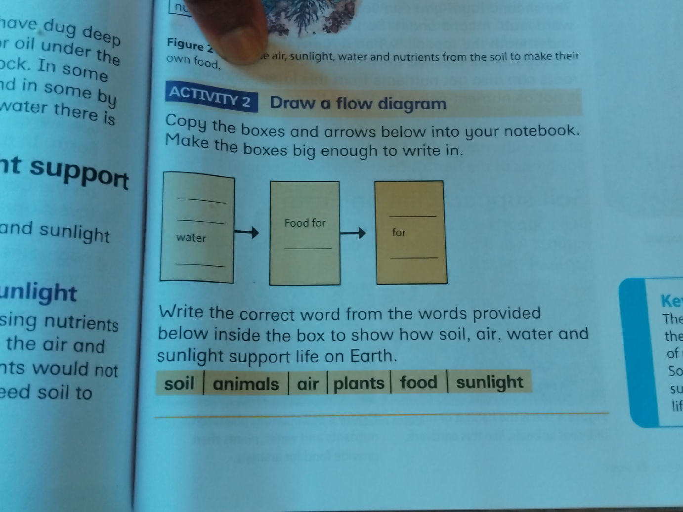 ACTIVITY 2 Draw a flow diagram Copy the | StudyX