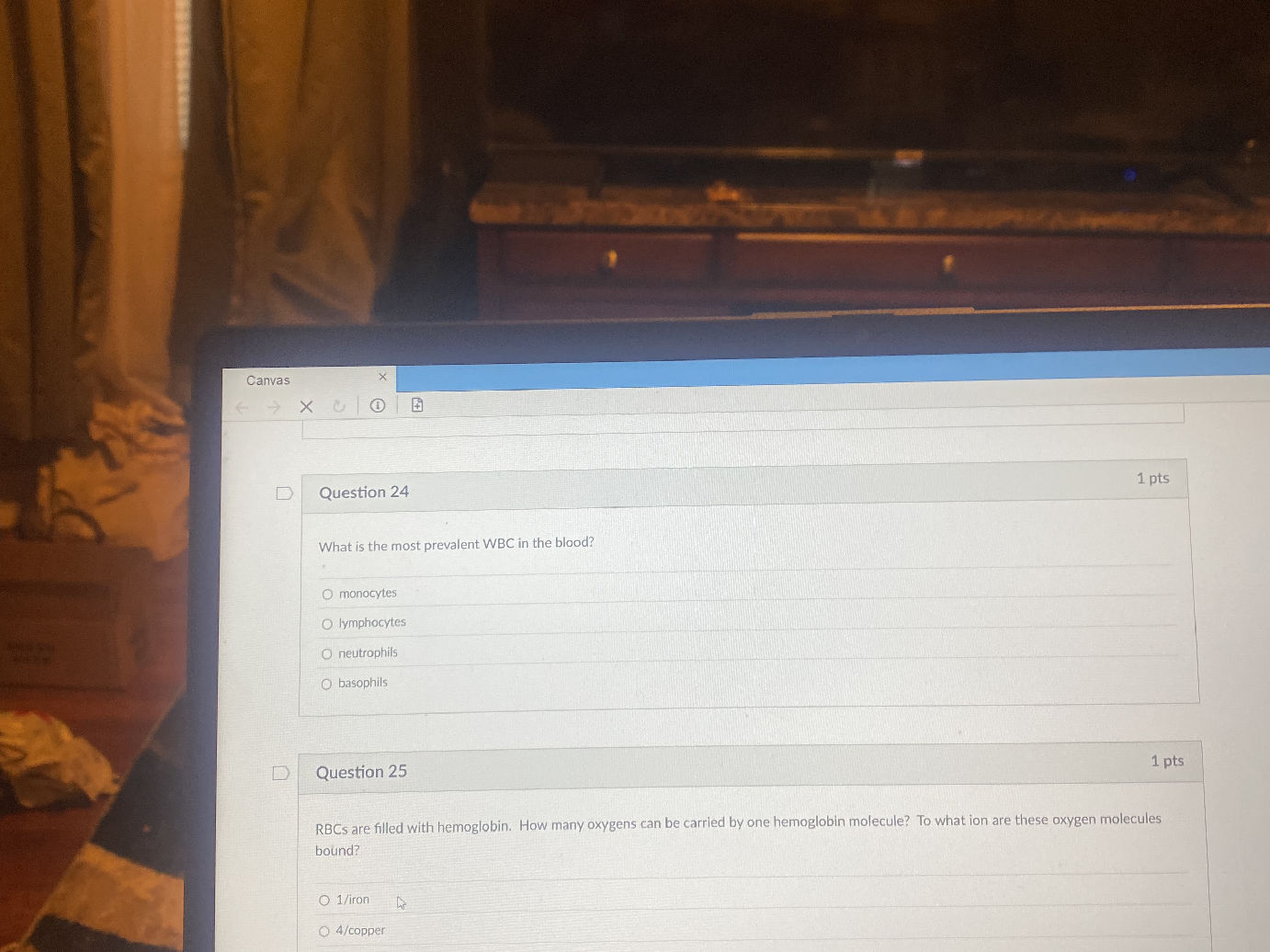 Question 24 What is the most prevalent WBC | StudyX