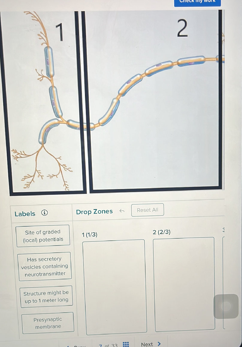 The image shows a drag-and-drop question | StudyX