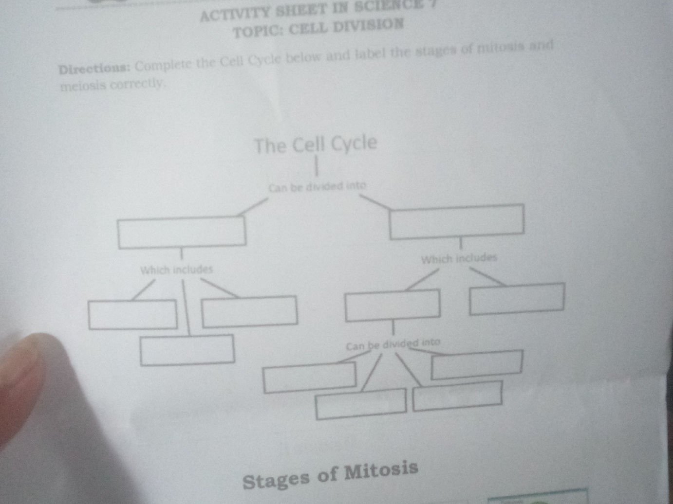 Directions: Complete the Cell Cycle below | StudyX