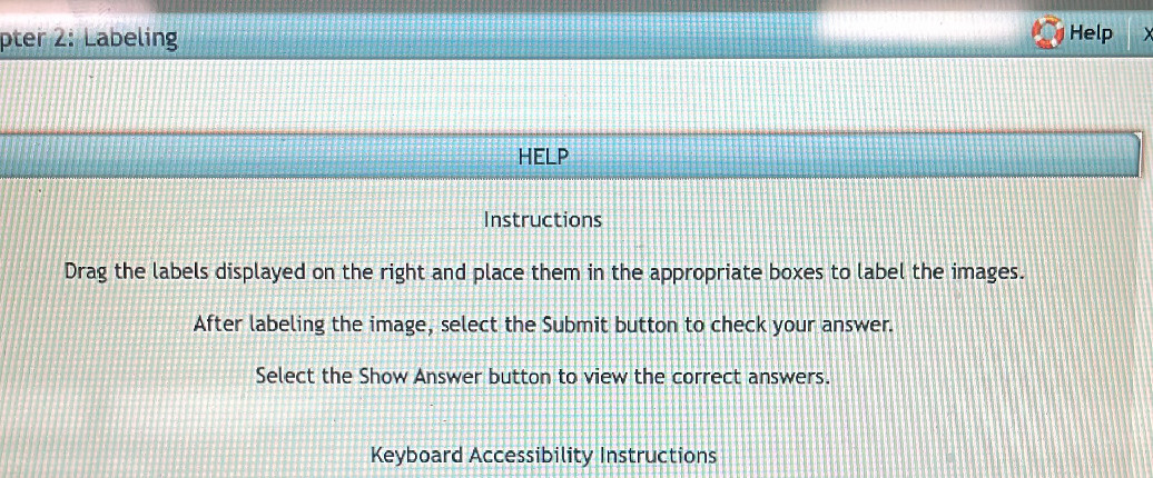 Chapter 2: Labeling Use your mouse to drag | StudyX