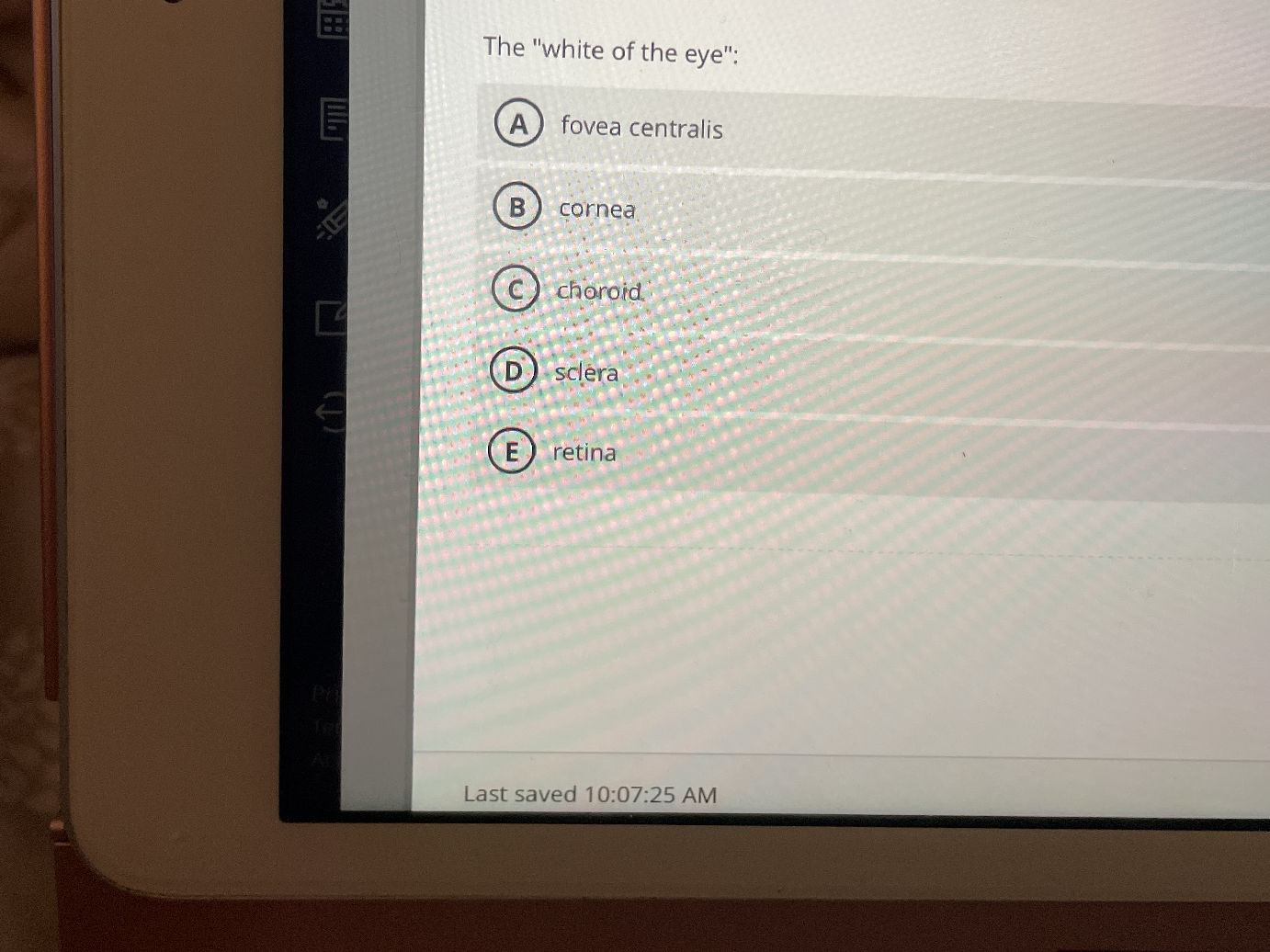 The "white of the eye": A fovea centralis | StudyX