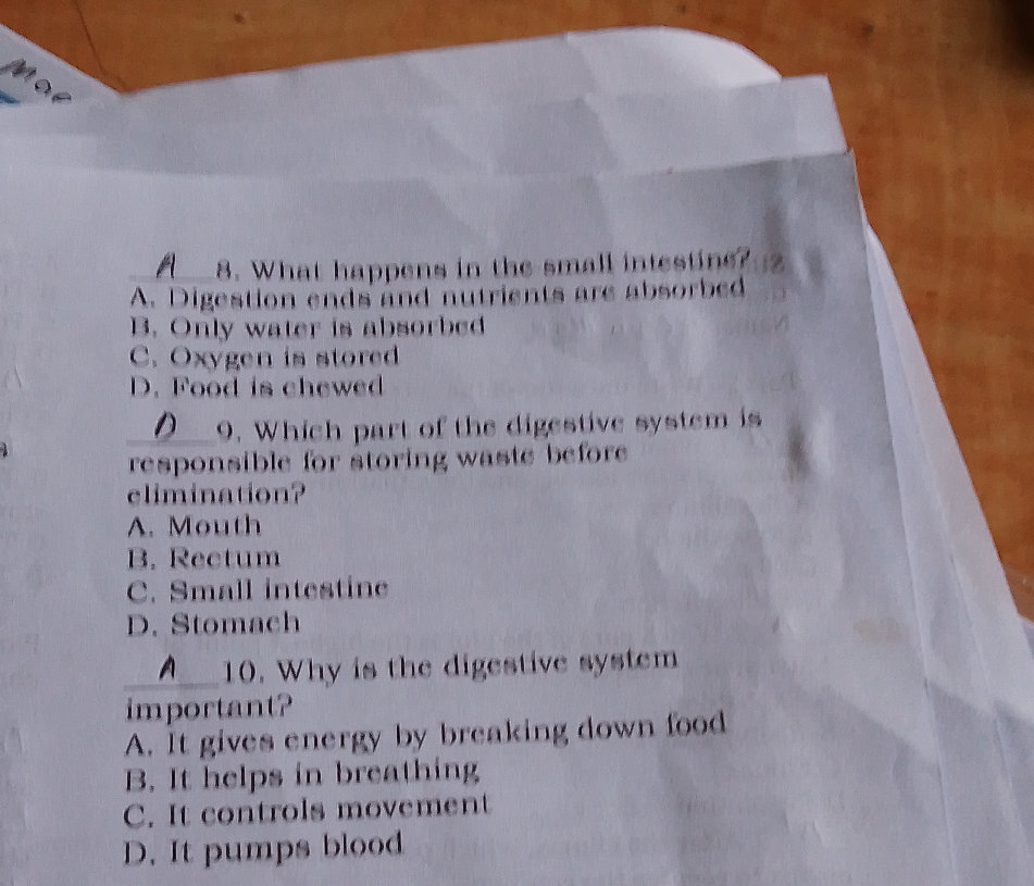 8. What happens in the small intestine? A. | StudyX