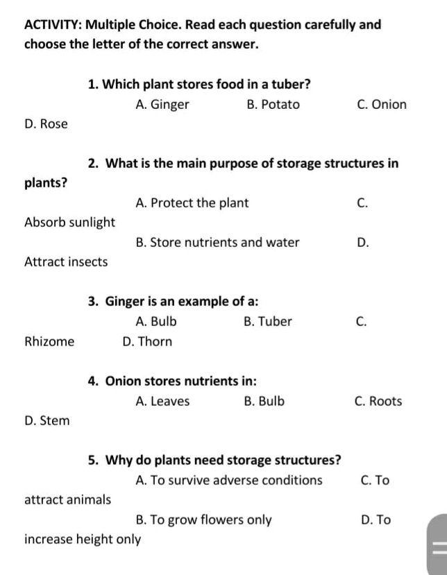 ACTIVITY: Multiple Choice. Read each | StudyX