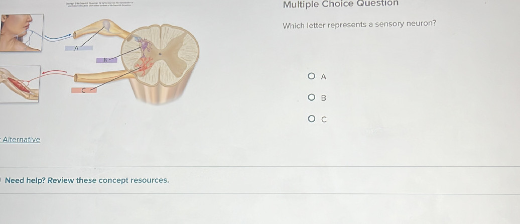 Multiple Choice Question Which letter | StudyX