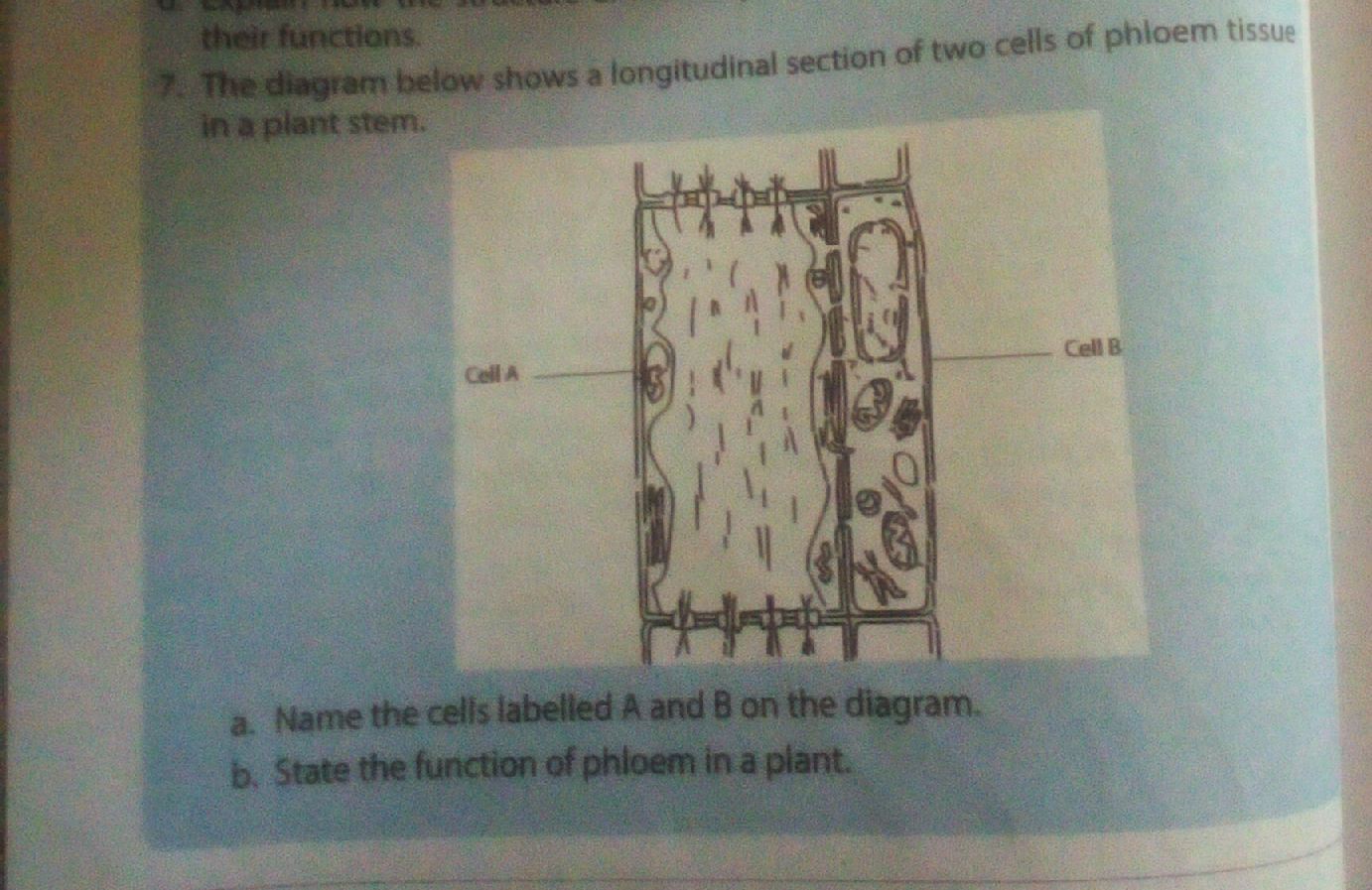 7. The diagram below shows a longitudinal | StudyX