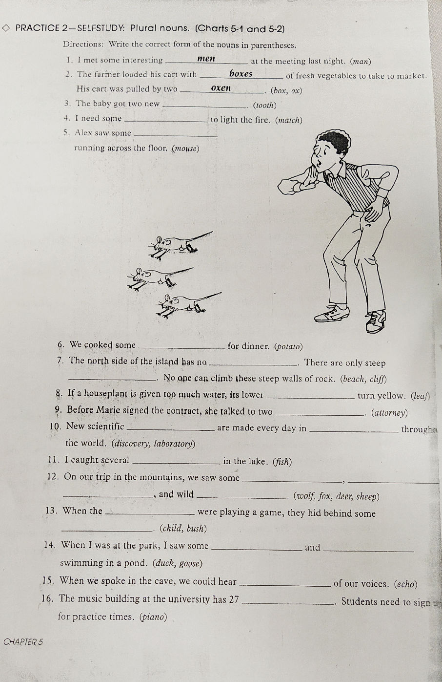Directions: Write the correct form of the | StudyX