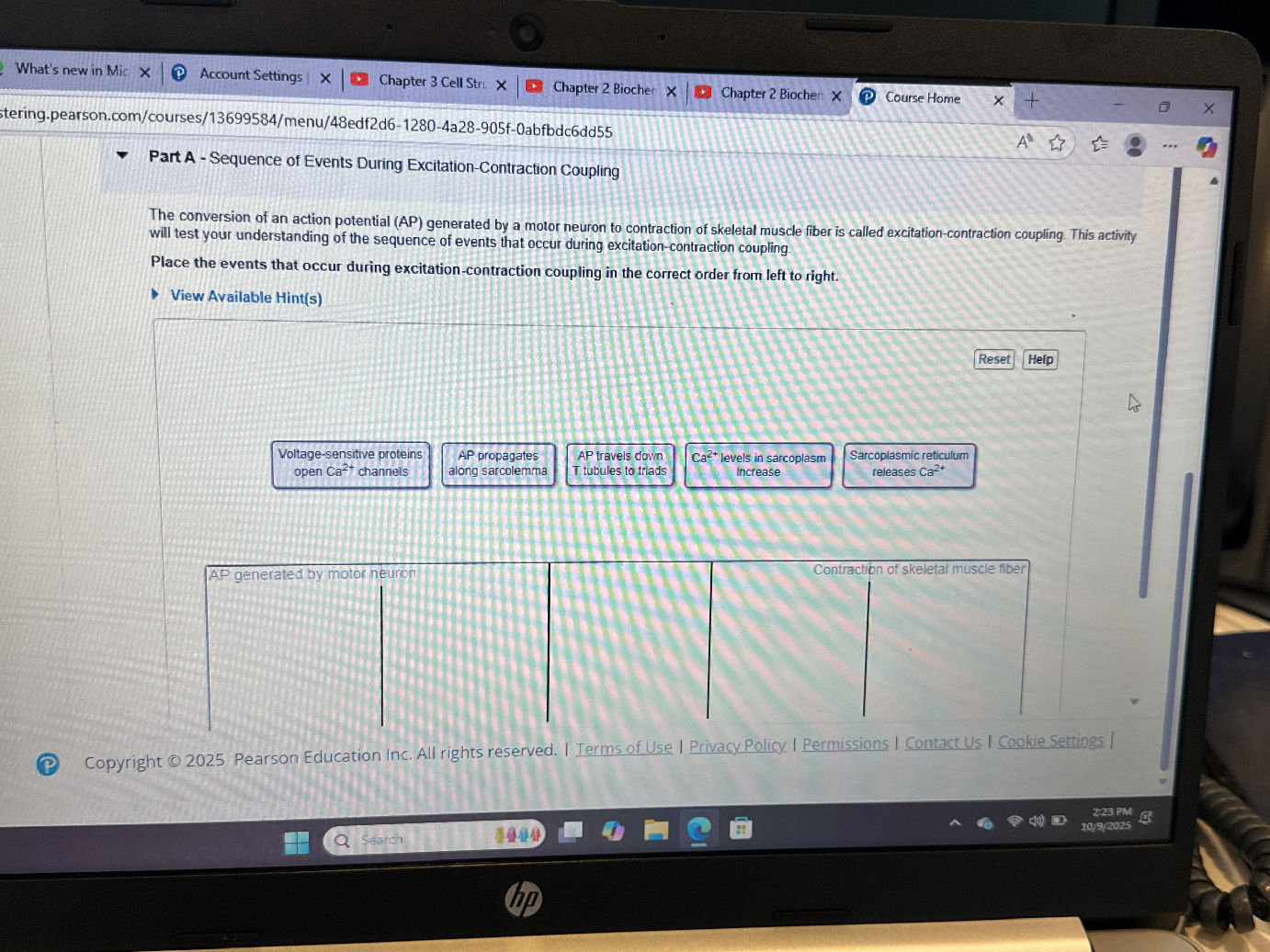 The conversion of an action potential (AP) | StudyX