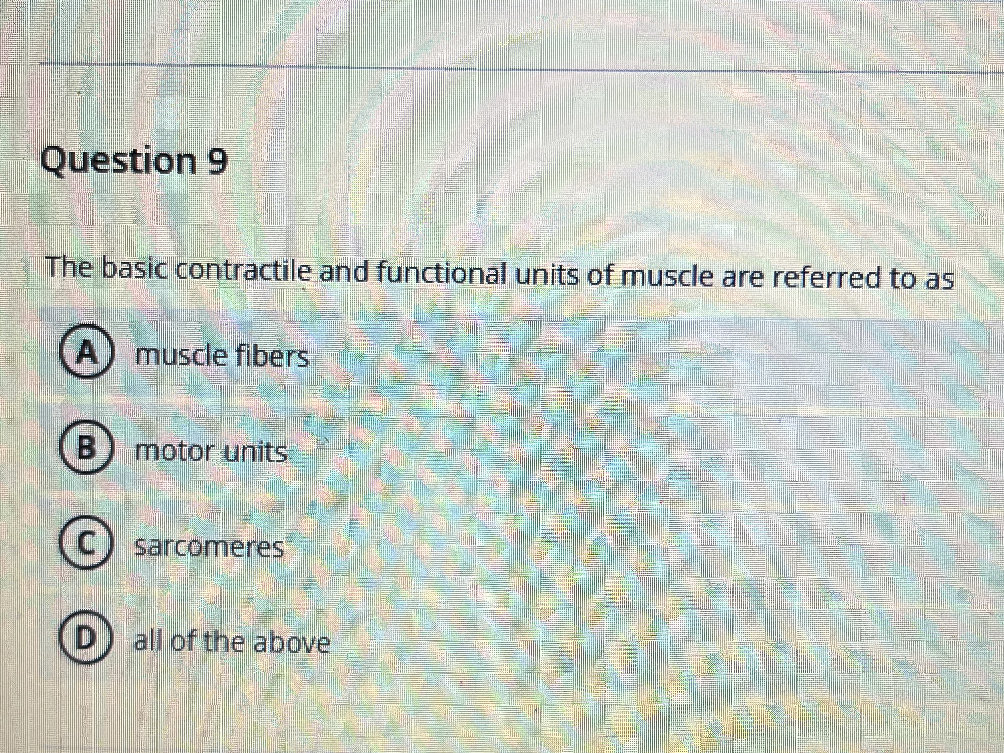 The basic contractile and functional units | StudyX
