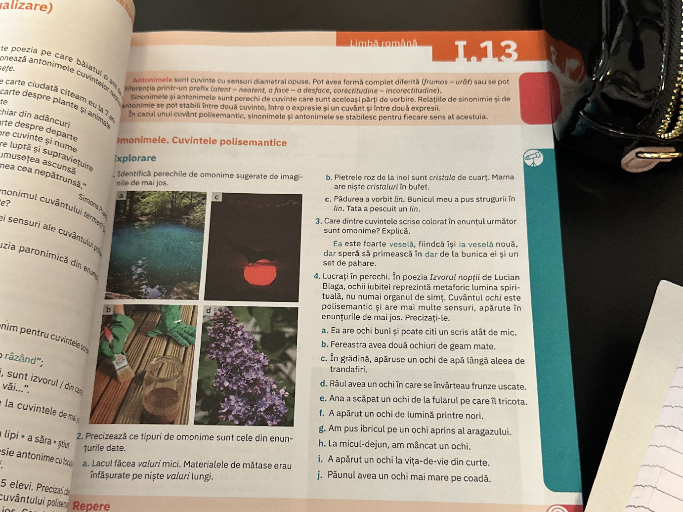 Identifică perechile de omonime sugerate de | StudyX
