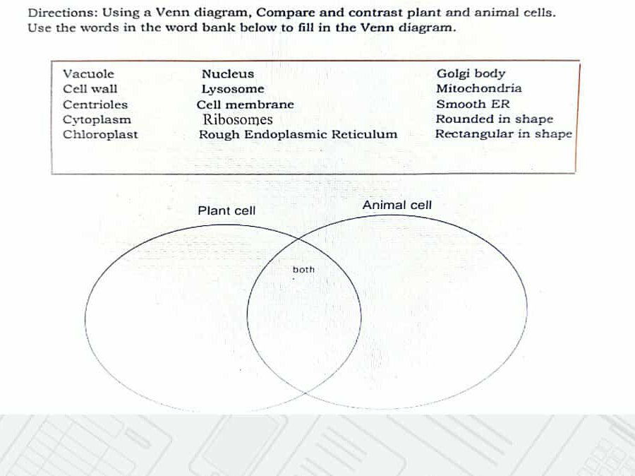 Directions: Using a Venn diagram, Compare | StudyX