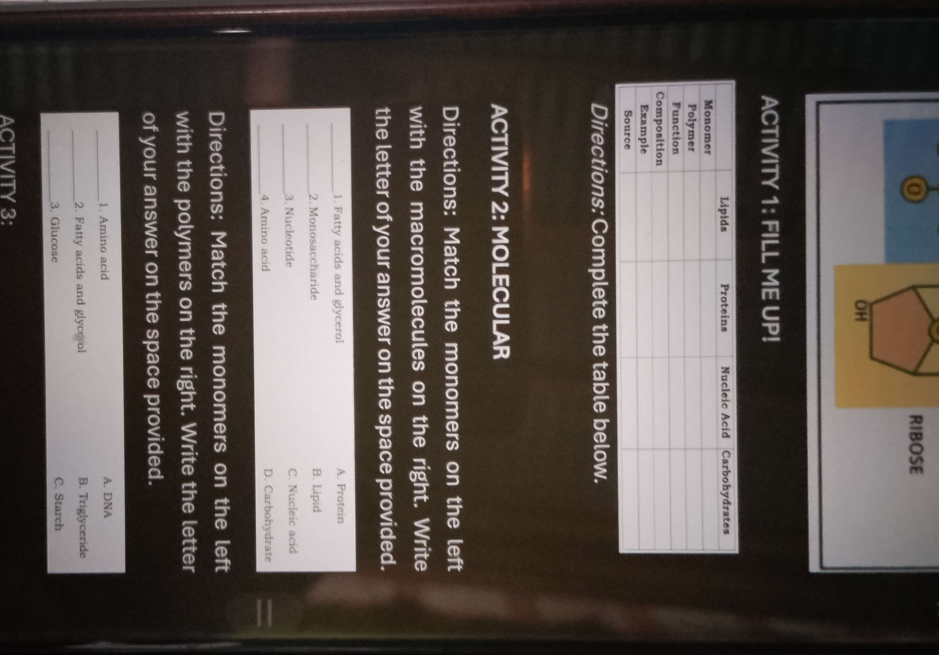 ACTIVITY 1 FILL ME UP Lipids Proteins | StudyX