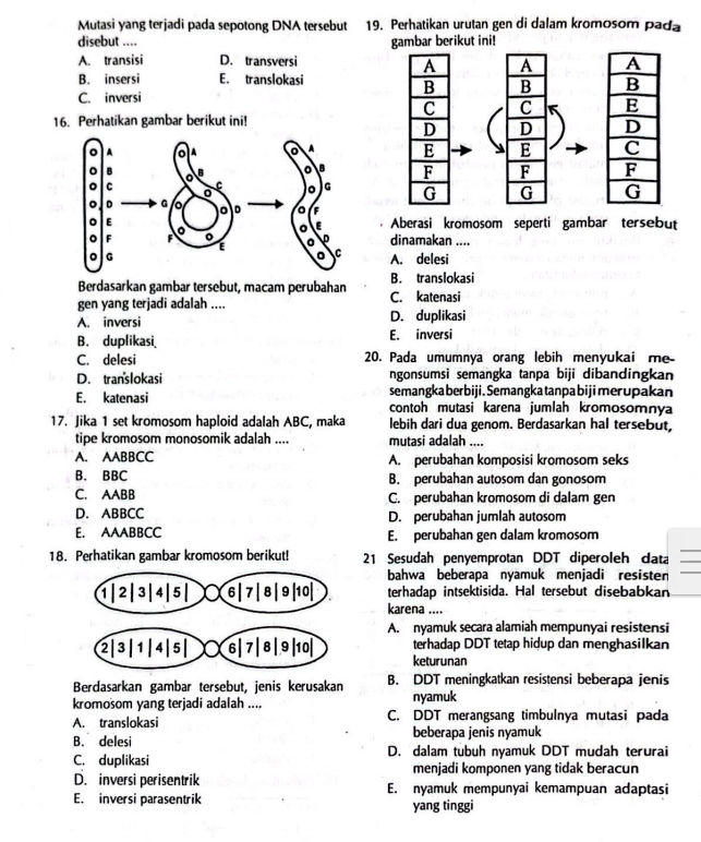 16 Perhatikan gambar berikut ini Diagram | StudyX