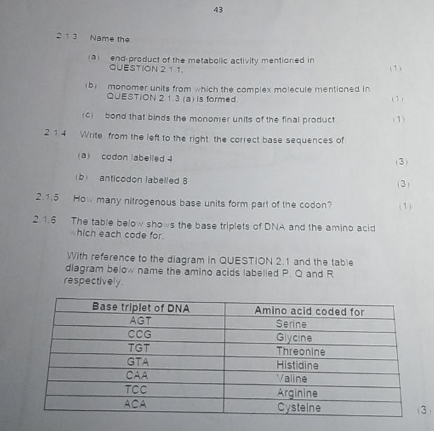 216 The table below shows the base triplets | StudyX