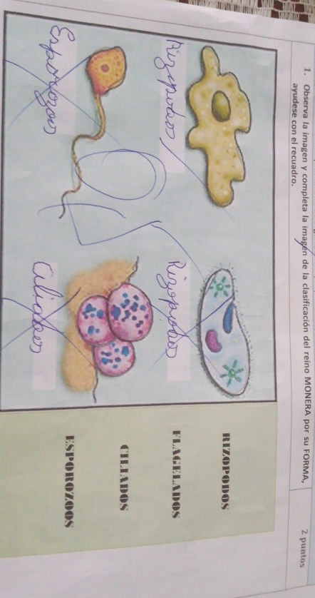 1 Observa la imagen y completa la imagen de | StudyX