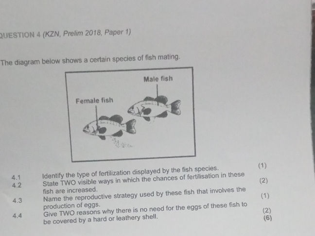 The diagram below shows a certain species of | StudyX
