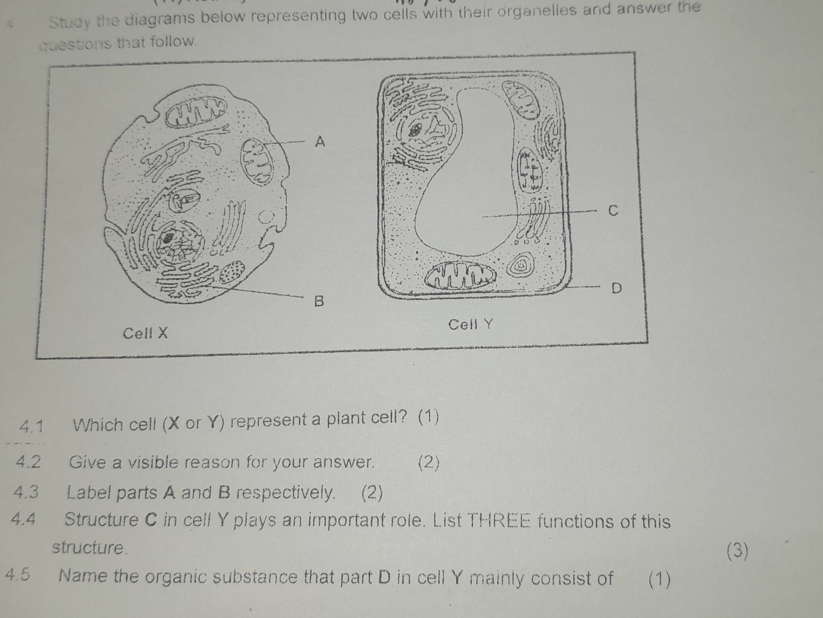 Study the diagrams below representing two | StudyX