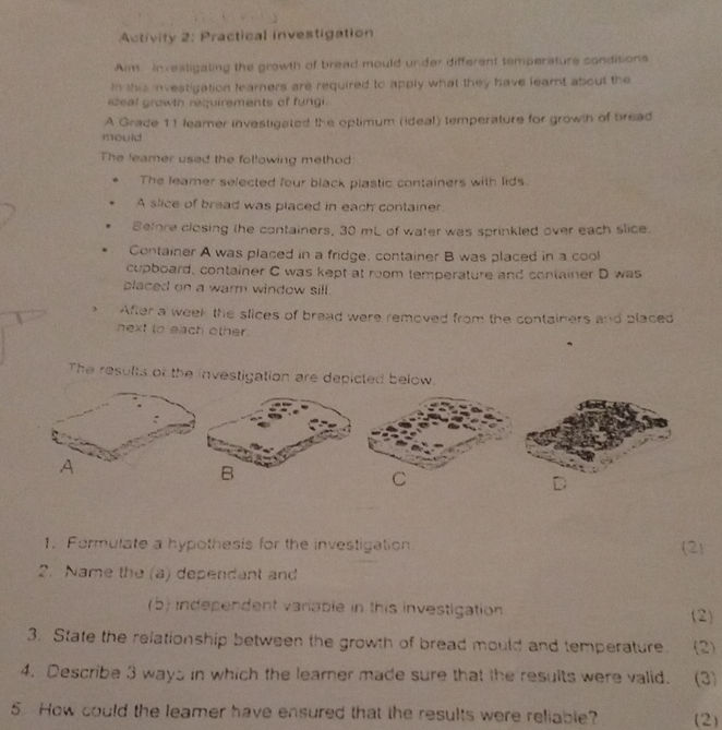 Activity 2 Practical investigation Am