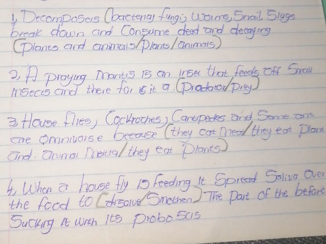 1 Decomposers (bacteria fungi worms snail | StudyX