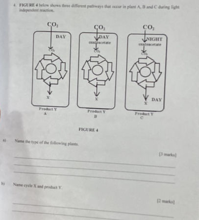FIGURE 4 below shows three different | StudyX