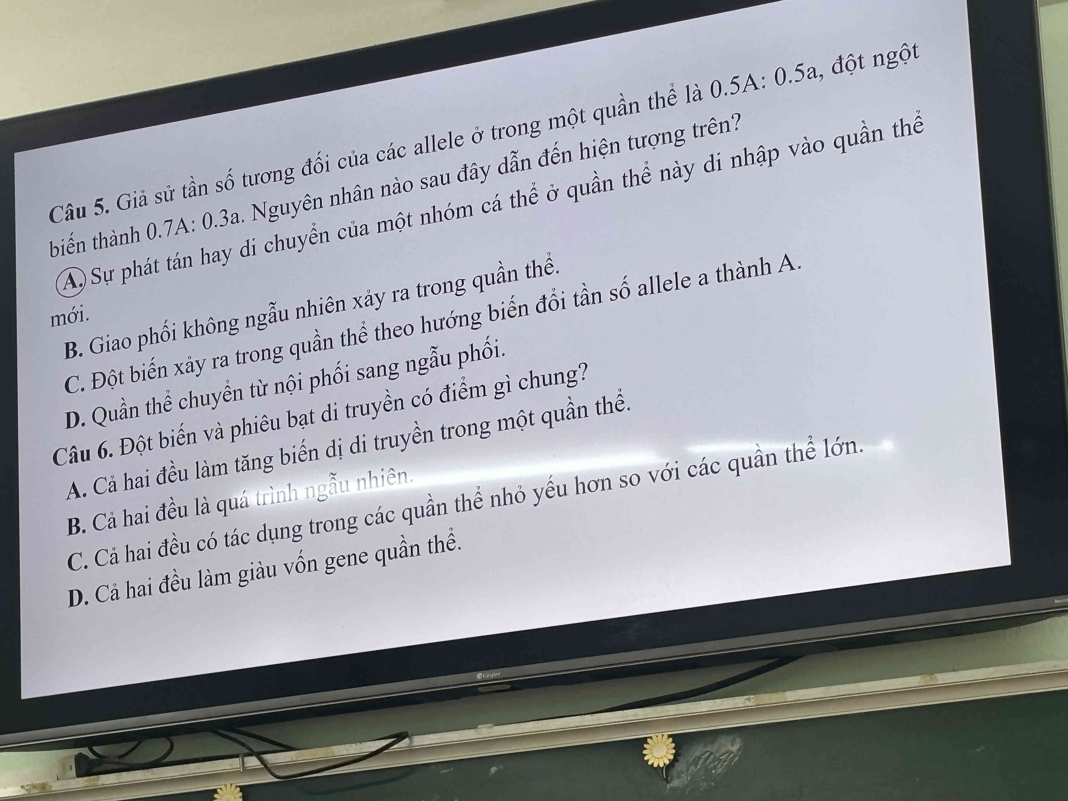 Cu 5 Gi s tn s tng i ca cc allele trong mt | StudyX