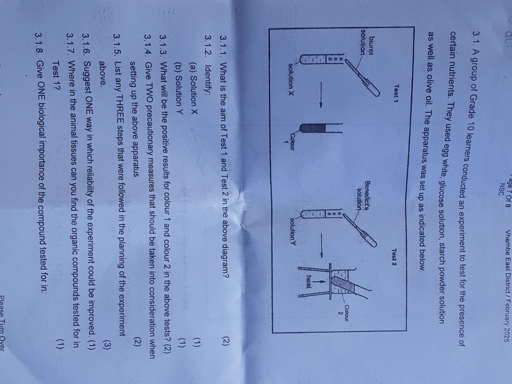 31 A group of Grade 10 learners conducted an | StudyX