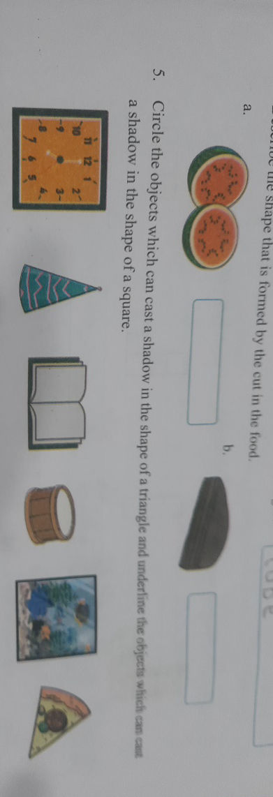 5. Circle the objects which can cast a | StudyX