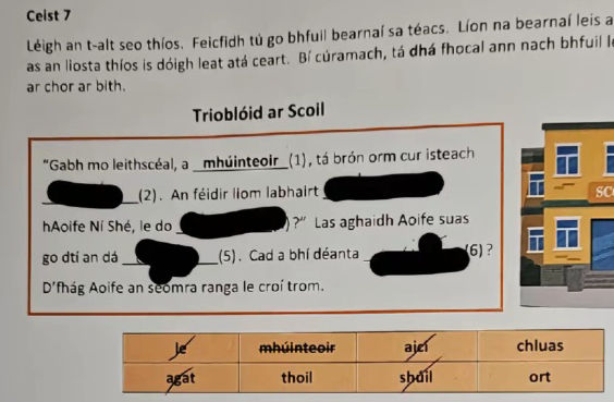 Léigh an t-alt seo thíos. Feicfidh tú go
