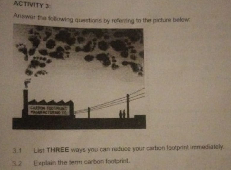 ACTIVITY 3 Answer the following questions by | StudyX