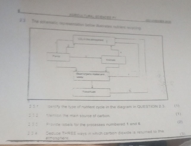 23 The schematic representation below | StudyX