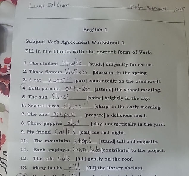 English 1 Subject Verb Agreement Worksheet 1 | StudyX