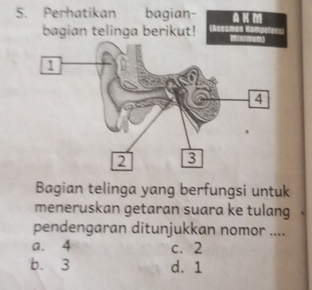 5 Perhatikan bagian-bagian telinga berikut | StudyX