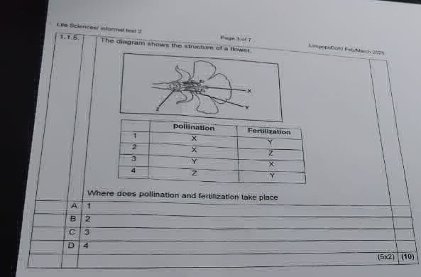 The diagram shows the structure of a flower | StudyX
