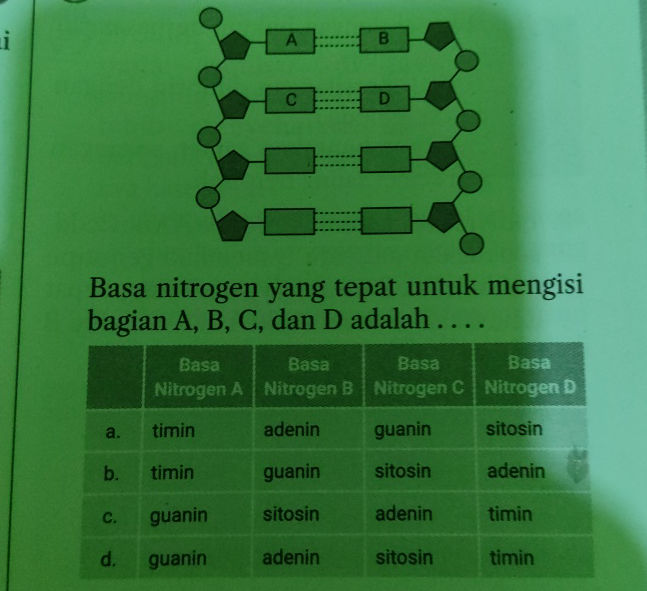 Basa nitrogen yang tepat untuk mengisi | StudyX