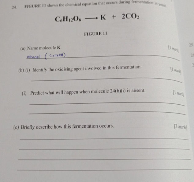 FIGURE 11 shows the chemical equation that | StudyX