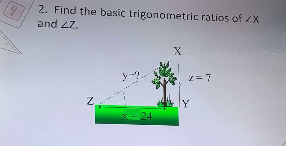 2 Find the basic trigonometric ratios of X | StudyX