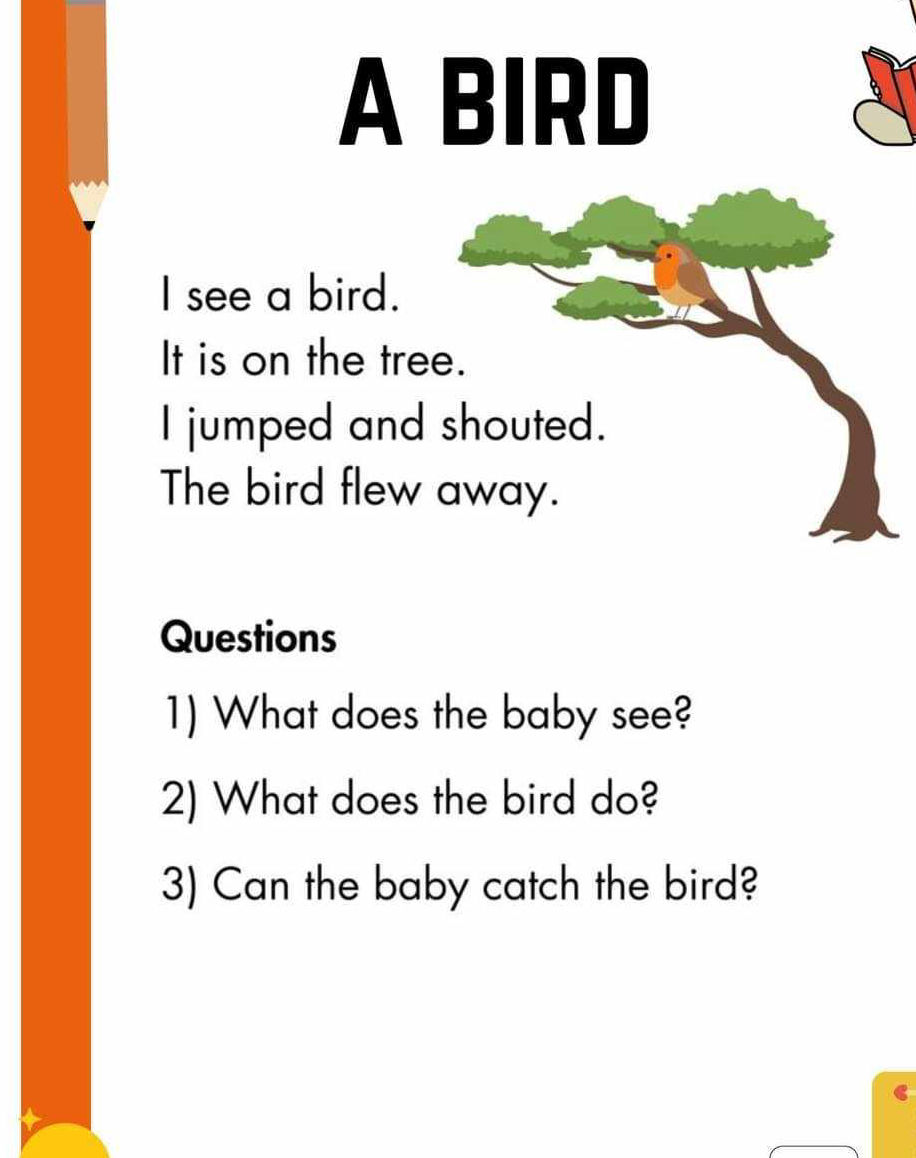 A BIRD I see a bird It is on the tree I | StudyX