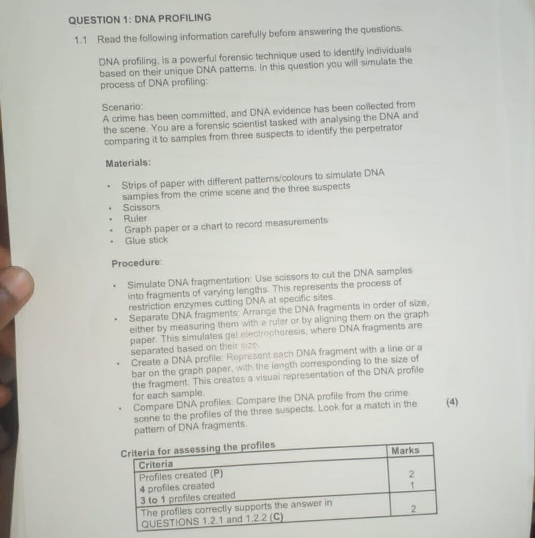 QUESTION 1: DNA PROFILING 1.1 Read the | StudyX