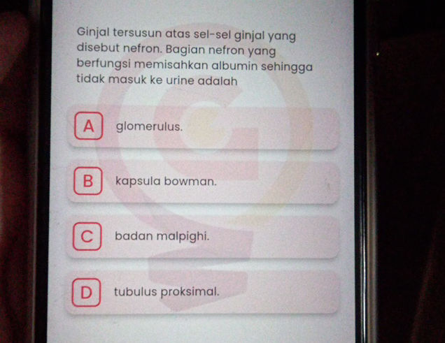 Ginjal tersusun atas sel-sel ginjal yang | StudyX