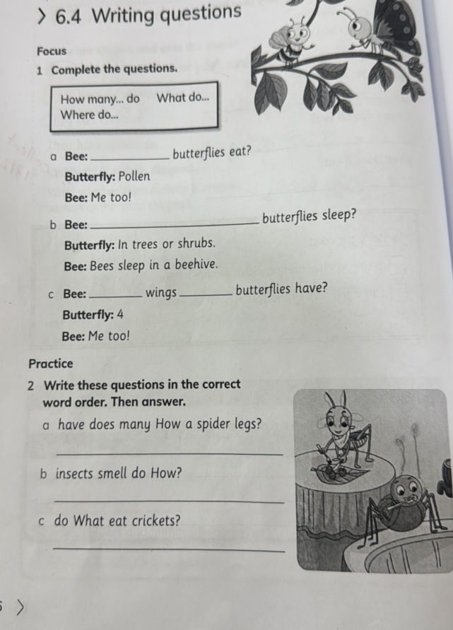 1 Complete the questions How many do What do | StudyX