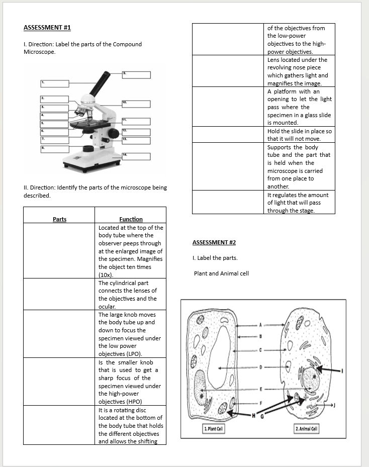 ASSESSMENT #1 I. Direction: Label the parts | StudyX