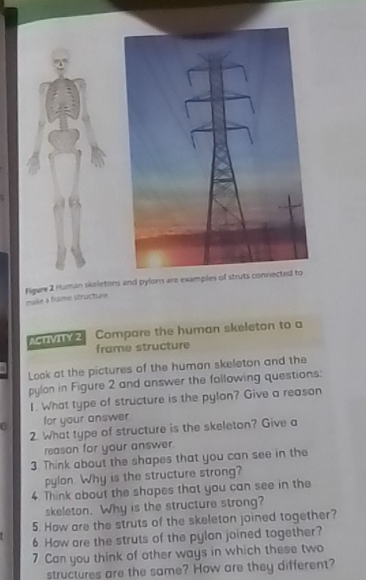 Look at the pictures of the human skeleton | StudyX