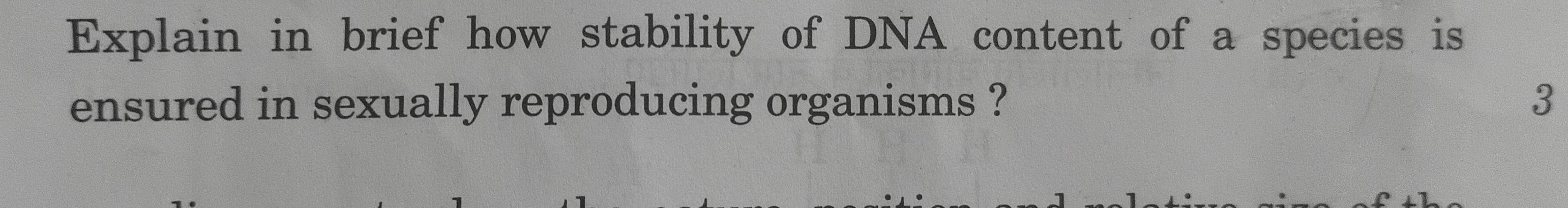 Explain in brief how stability of DNA | StudyX