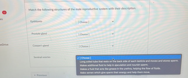 Match the following structures of the male | StudyX