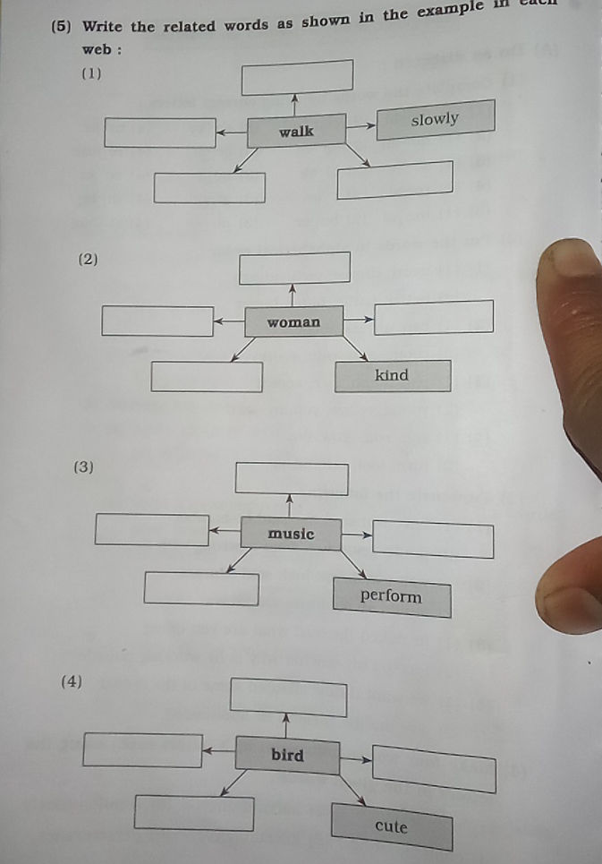 (5) Write the related words as shown in the | StudyX