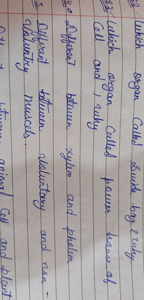 Which organ called suicide bag why? Which | StudyX