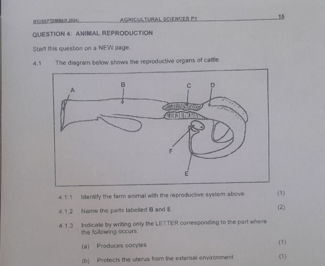 4.1 The diagram below shows the reproductive | StudyX