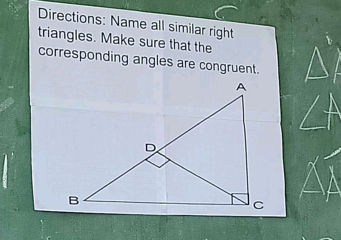 Directions Name all similar right triangles | StudyX